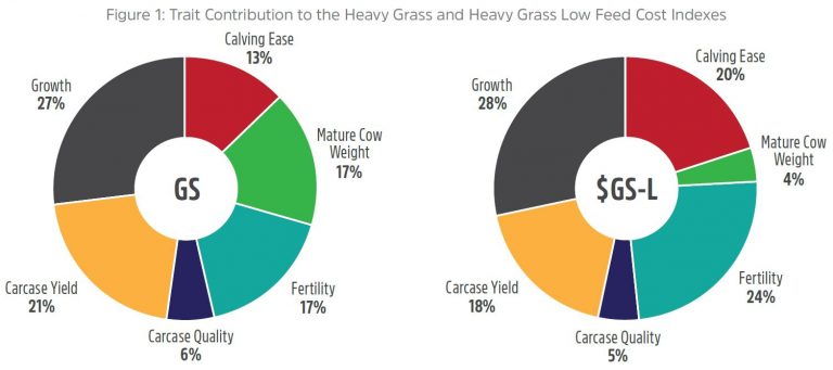 Heavy Grass Indexes ($GS, $GS-L) - Angus Australia