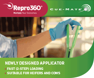 Database Search - Angus Australia