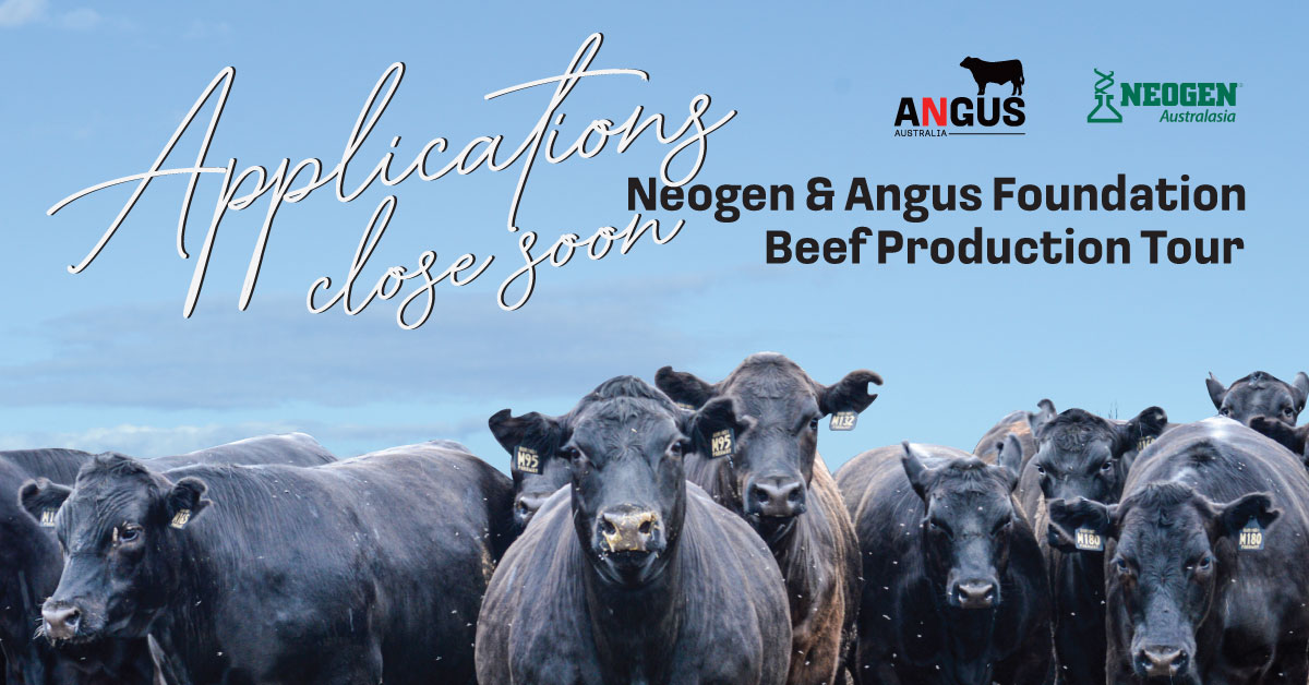Neogen Angus Foundation Production Tour - Angus Australia
