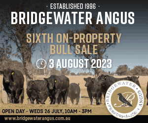 Neogen Angus Foundation Production Tour to Visit Ascot and Dunmore ...