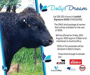 Why Angus? - Angus Australia