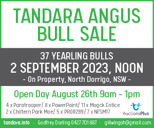 Why Angus? - Angus Australia